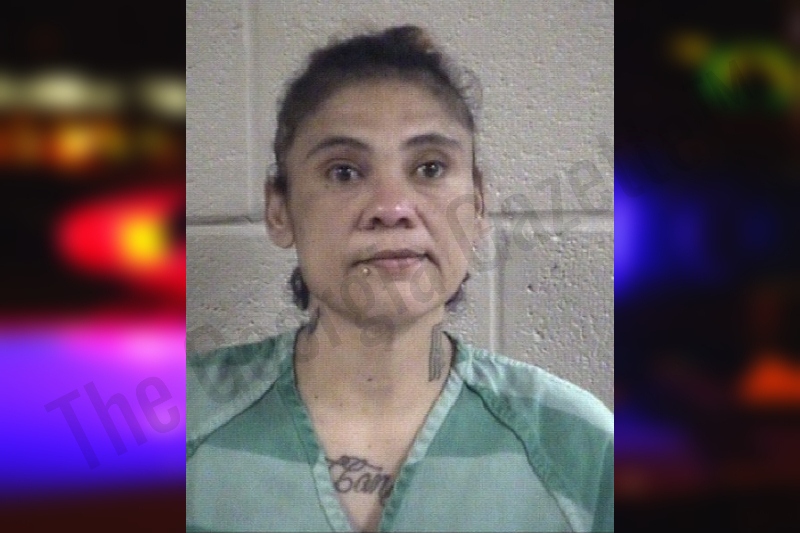 Melissa Dobie — Whitfield County Jail Bookings