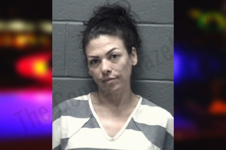 Forsyth County Jail Bookings – Page 2 – The Georgia Gazette