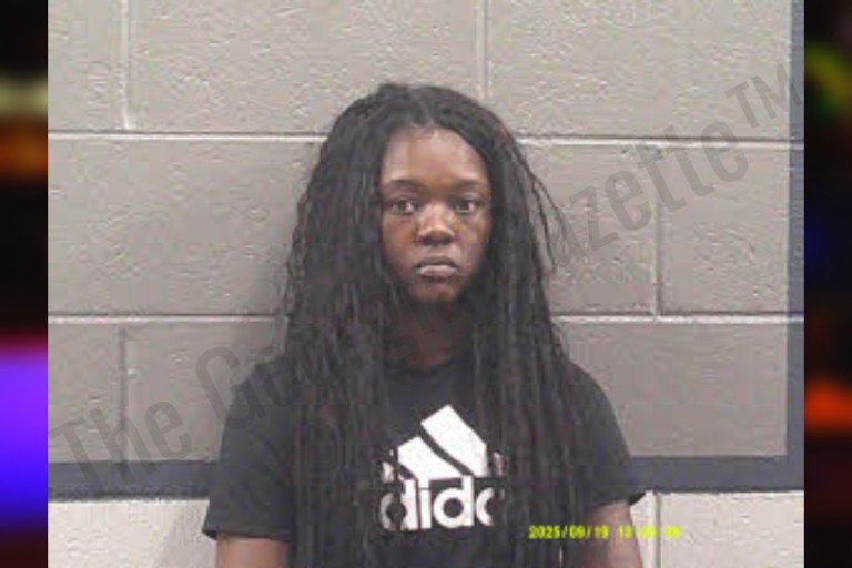 Banks County Jail Bookings – Page 2 – The Georgia Gazette