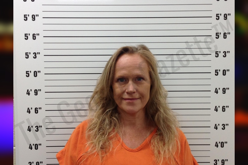 Erin Ely — Pickens County Jail Bookings