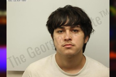 Gary Estrada — Chatham County Jail Bookings