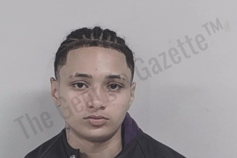 Nikki Frierson — Lowndes County Jail Bookings
