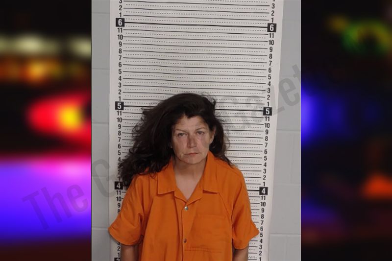Ginger Gilbert — Rockdale County Jail Bookings