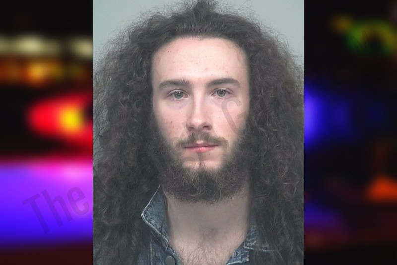 Reece Hamilton — Gwinnett County Jail Bookings