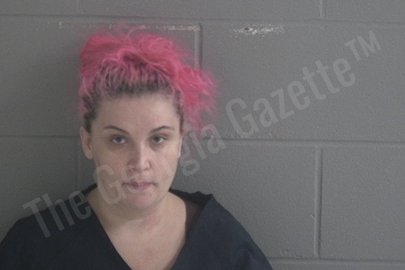 Cyndee Hand — Brantley County Jail Bookings