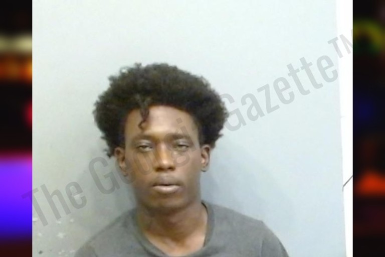 Fulton County Jail Bookings – Page 2 – The Georgia Gazette