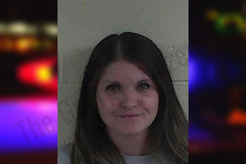 Shanda Hawkins — Fannin County Jail Bookings