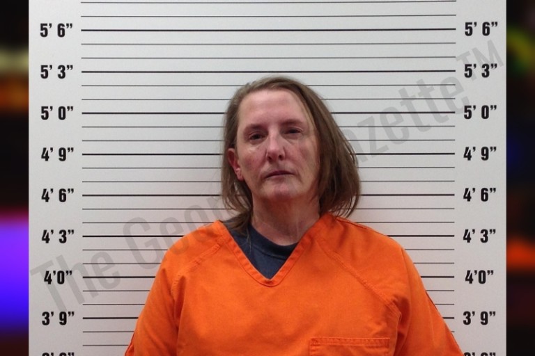 Lisa Hicks — Pickens County Jail Bookings