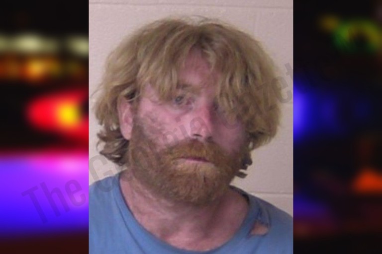 Shannon Holcomb — Walker County