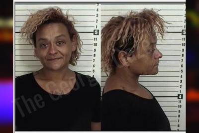Candie Ingram — Camden County Jail Bookings
