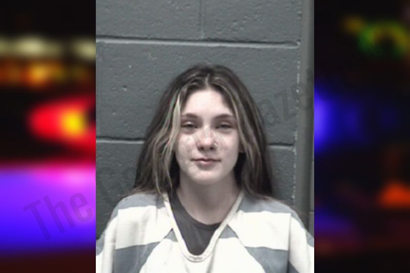 Sabrina Ingram — Forsyth County Jail Bookings