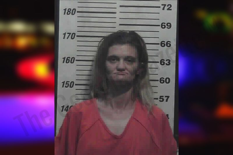 Elizabeth Johnson — Meriwether County Jail Bookings