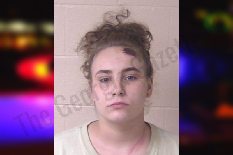 Macayla Johnson — Walker County Jail Bookings