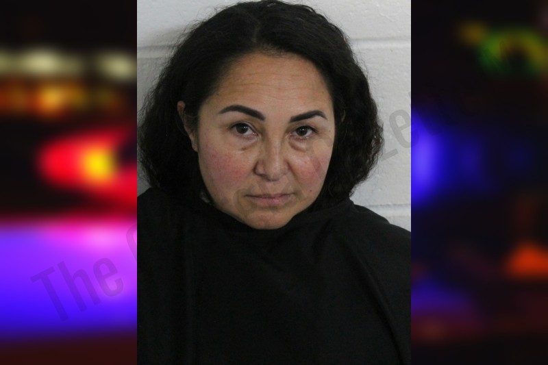 Christine Kain — Floyd County Jail Bookings