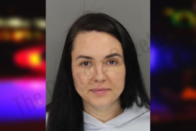 Hailey Lytle — Cobb County Jail Bookings