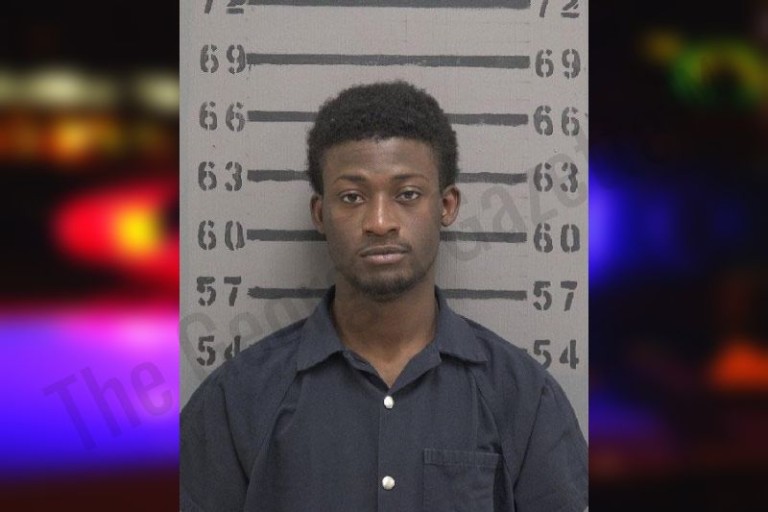 Dougherty County Jail Bookings – Page 10 – The Georgia Gazette