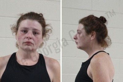 Gabrielle Linn — Houston County Jail Bookings
