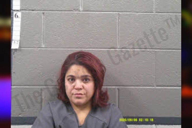 Ruth Mendoza — Banks County Jail Bookings