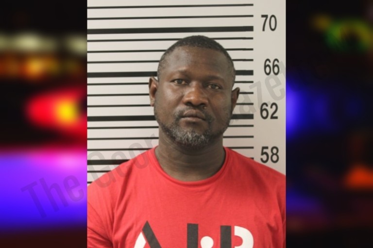 Toombs County Jail Bookings – Page 2 – The Georgia Gazette