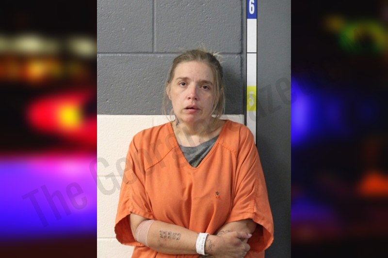 April Mimbs — Lumpkin County Jail Bookings