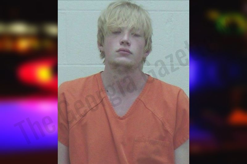 Tyler Martin — Worth County Jail Bookings