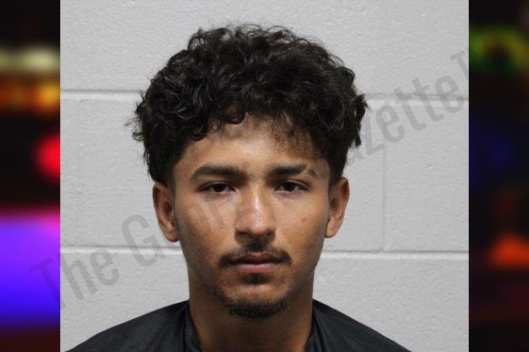 Elvin Martinez-Bonilla — Habersham County Jail Bookings
