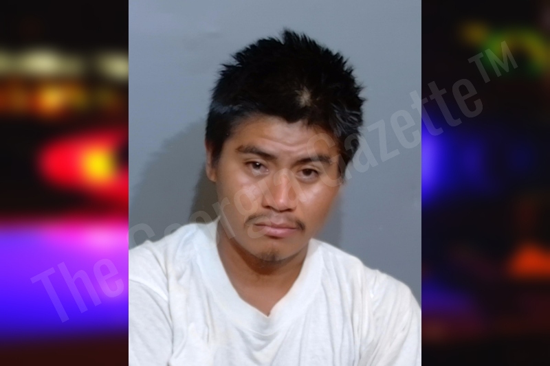 Mayro May — Glynn County Jail Bookings