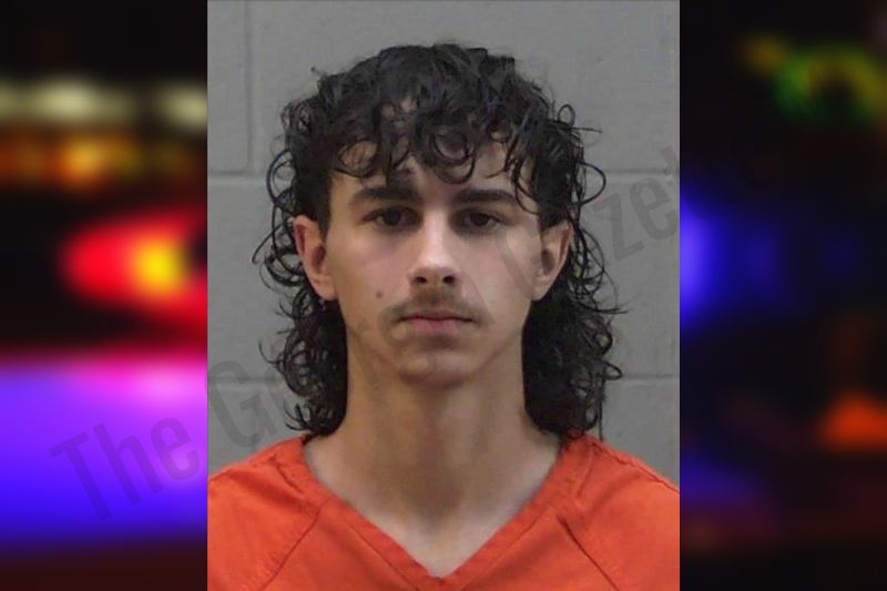 Gabriel Mize — Madison County Jail Bookings