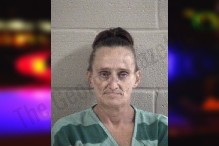 Whitfield County Jail Bookings – The Georgia Gazette