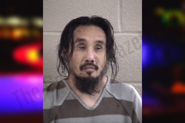 John Nguyen — Whitfield County Jail Bookings