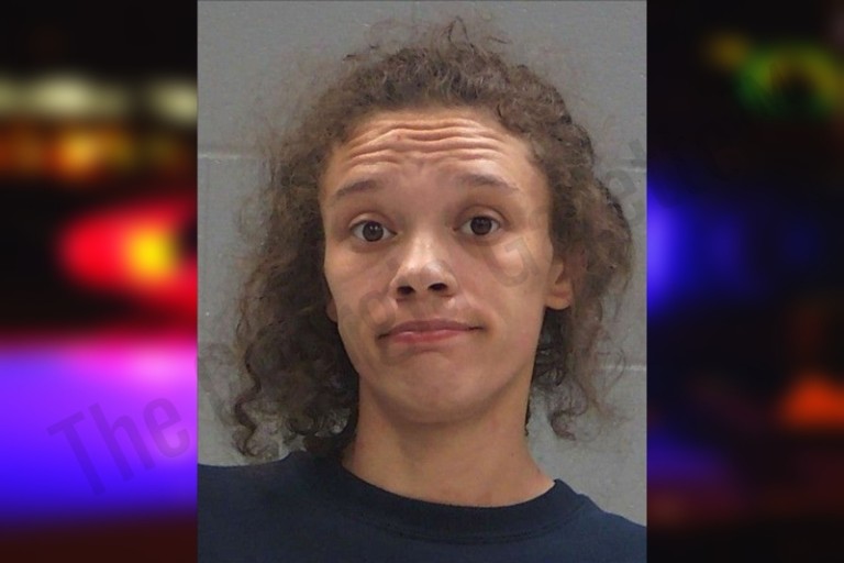 Simone Person — Baldwin County Jail Bookings