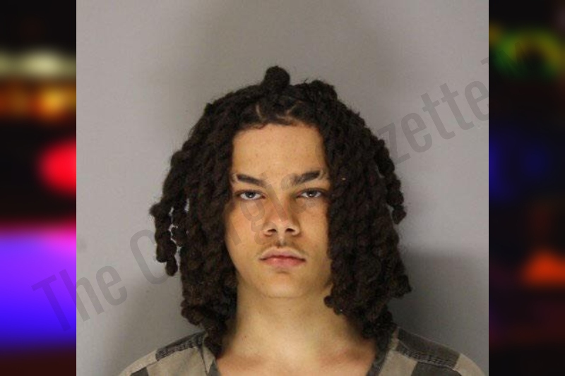 Tierre Pirkle — Hall County Jail Bookings