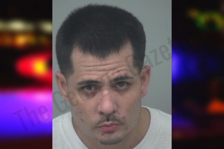 Eric Page — Gwinnett County Jail Bookings