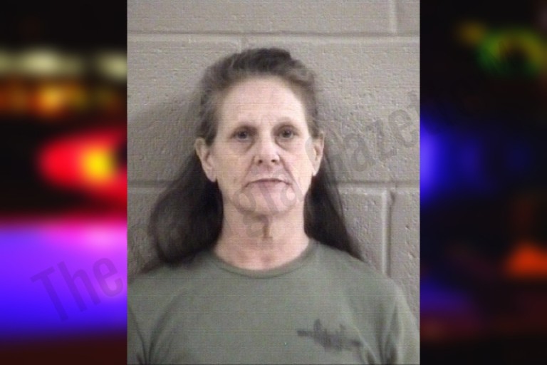 Christy Payne — Whitfield County Jail Bookings