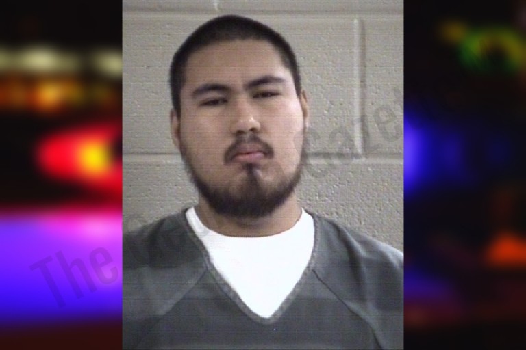 Aldo Perez-Tejada — Whitfield County Jail Bookings