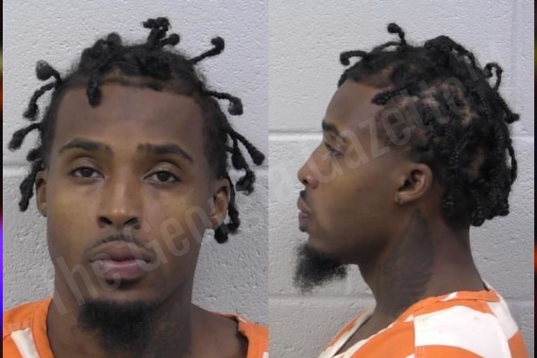 Rodney Perry — Paulding County Jail Bookings