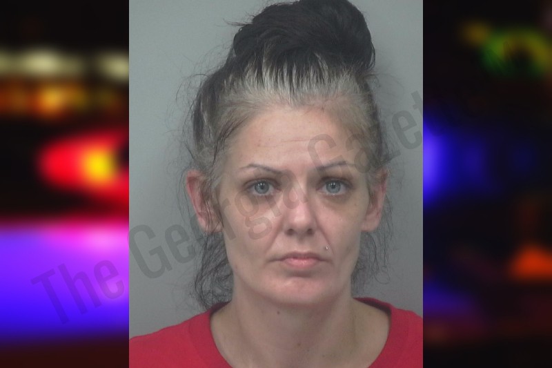 Ashley Phillips — Gwinnett County Jail Bookings
