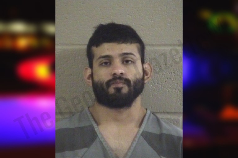 Whitfield County Jail Bookings – Page 8 – The Georgia Gazette