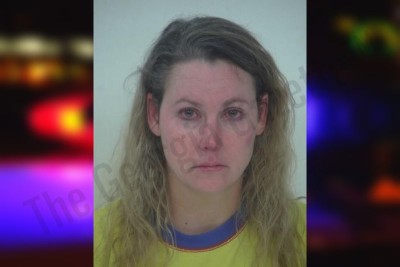 Cindy Polit-Collier — Fayette County Jail Bookings