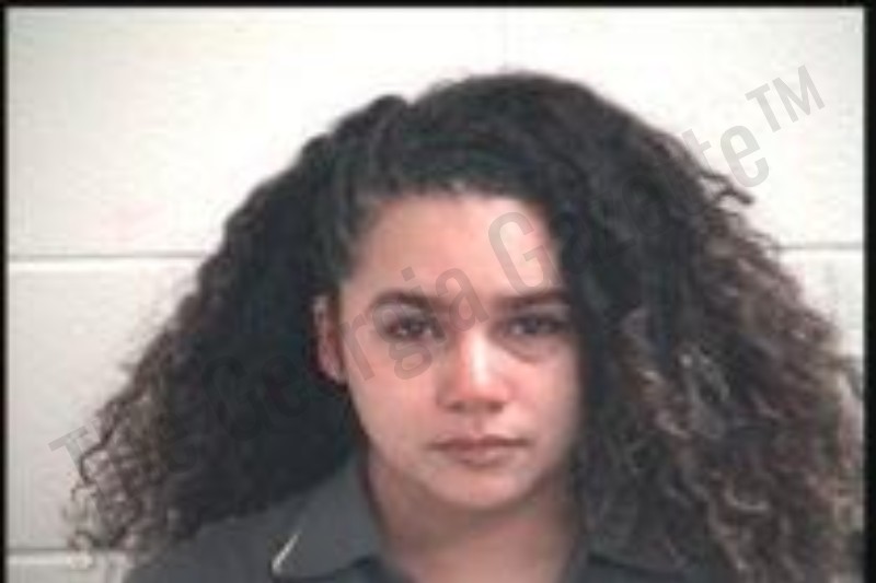 Sally Ramirez — Henry County Jail Bookings