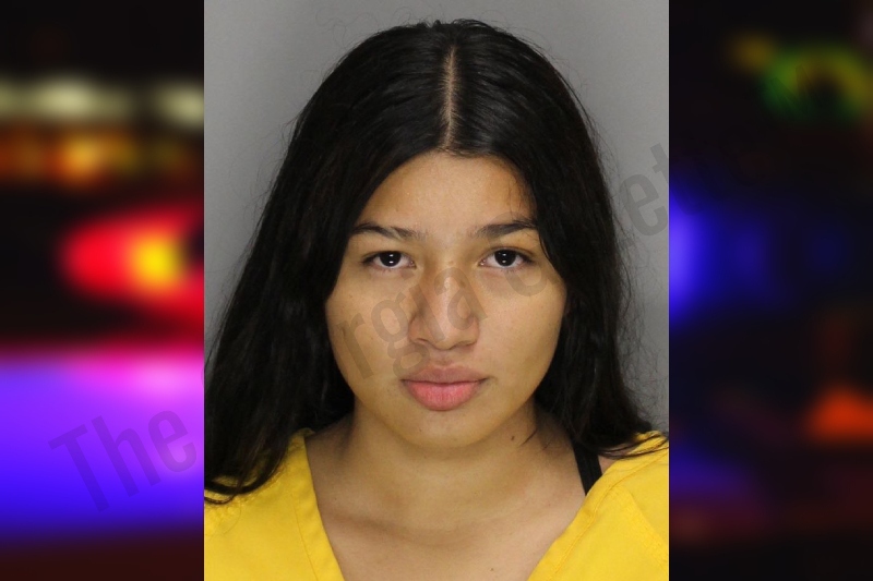 Gladis Rodriguez — Cobb County Jail Bookings