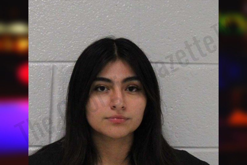 Janeth Ruiz-Nunez — Carroll County Jail Bookings
