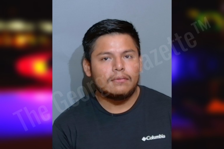 Luis Ramiro-Meza — Glynn County Jail Bookings