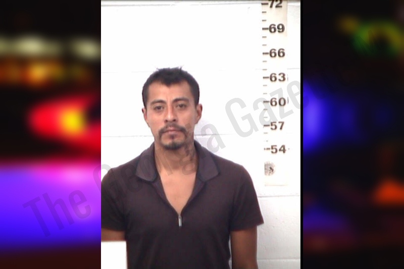 Adrian Ramos — Emanuel County Jail Bookings