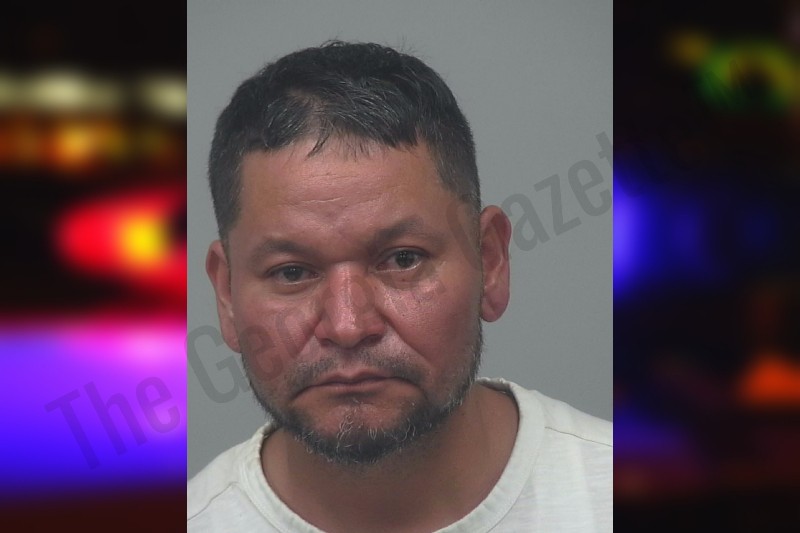 Rene Ramos Villanueva — Gwinnett County Jail Bookings