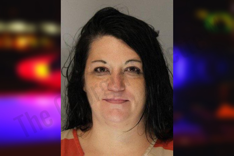 Stephanie Seymour — Hall County Jail Bookings