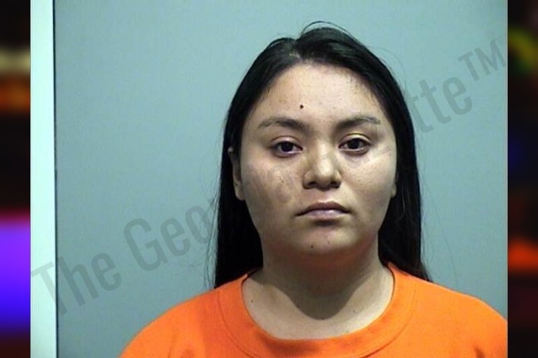 Maria Sanchez-Herrera — Effingham County Jail Bookings