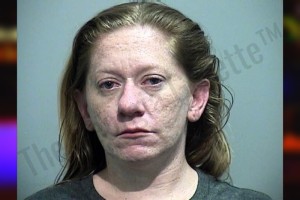 Sarah Schofield — Effingham County Jail Bookings