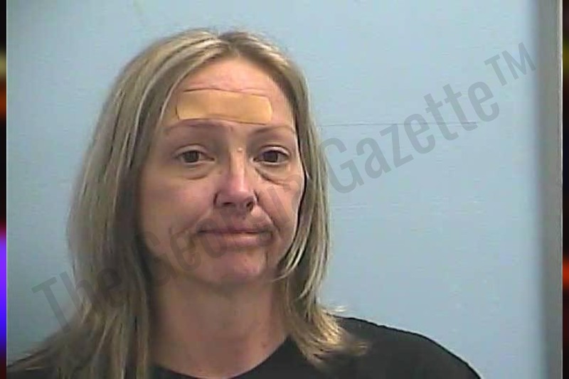 Amanda Sisk — Dawson County Jail Bookings