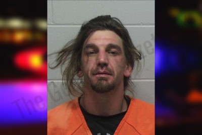 Brandon Smith — Laurens County Jail Bookings